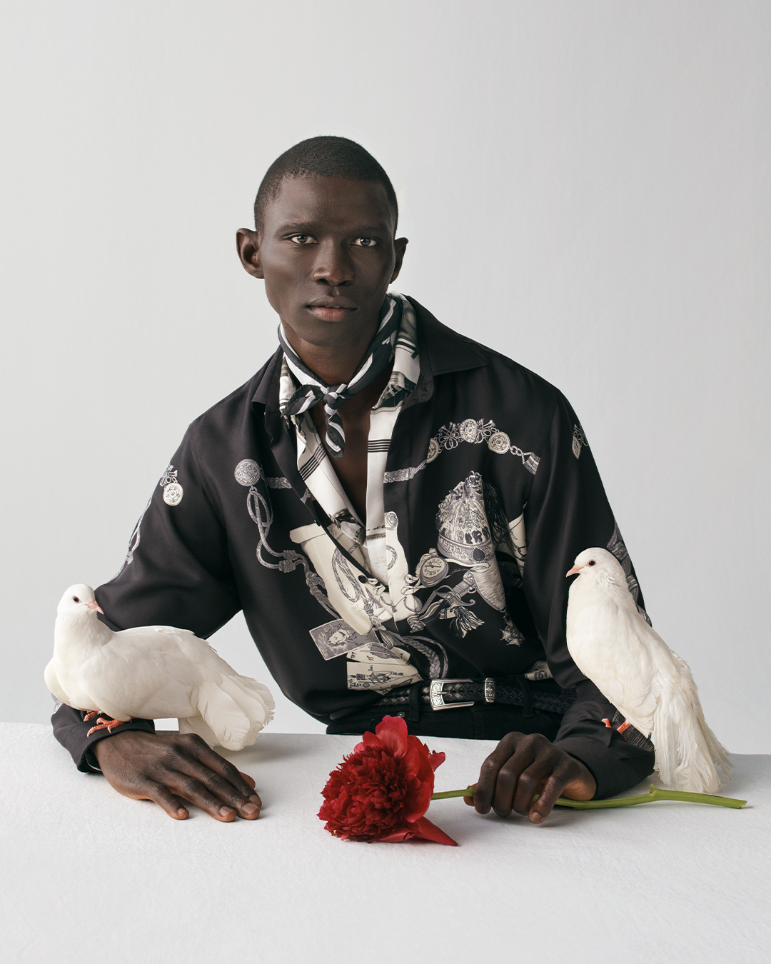 Fernando | International Finance Centre, Hong Kong