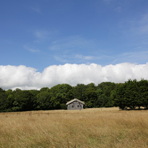 temp_home_single_10 | International Finance Centre, Hong Kong